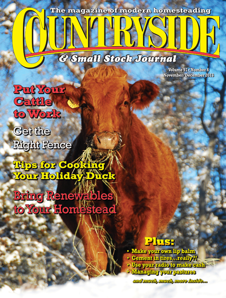 Countryside November/December 2013 - Countryside